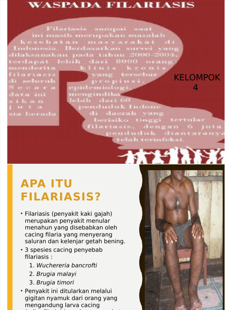 Dokumen - Tips Waspada-Filariasis | PDF