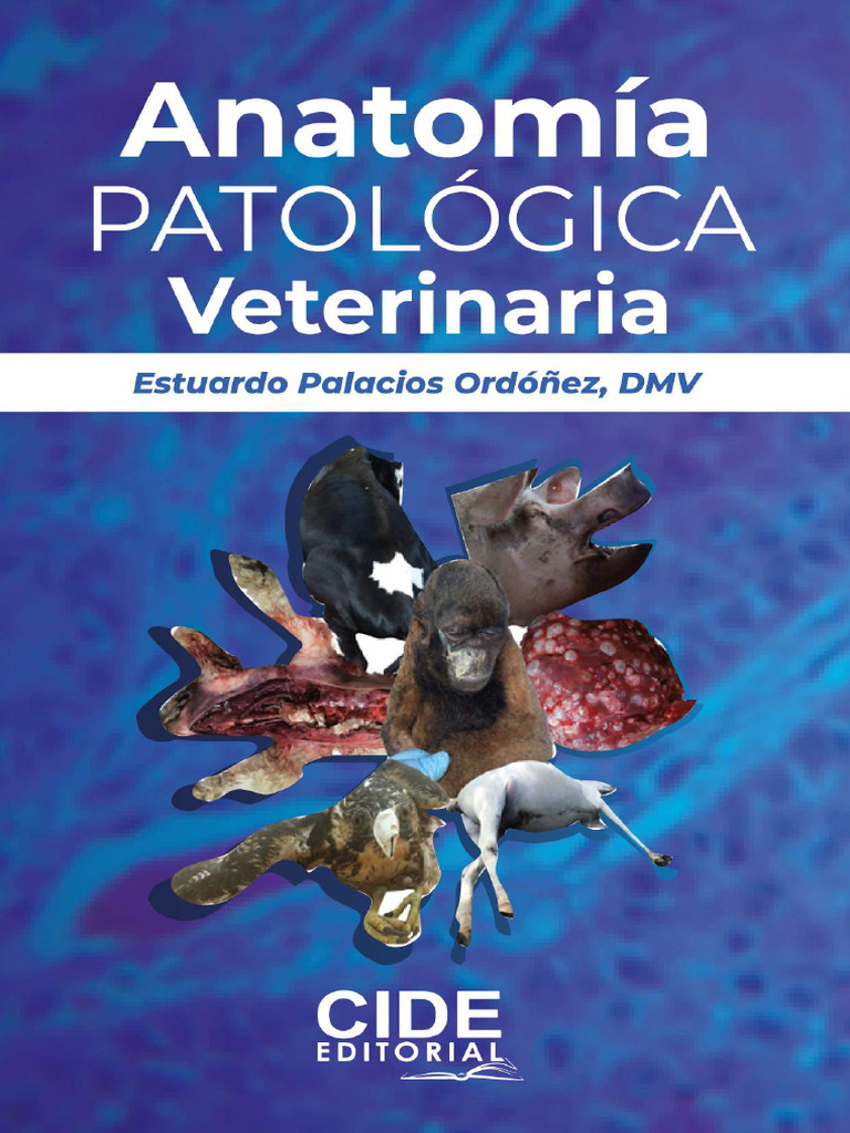 Libro Anatomia Patologia Veterinaria | PDF | Piel | Hueso