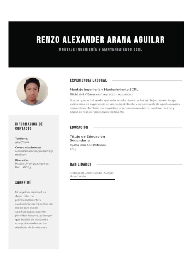 CV Nuevo Alex | PDF