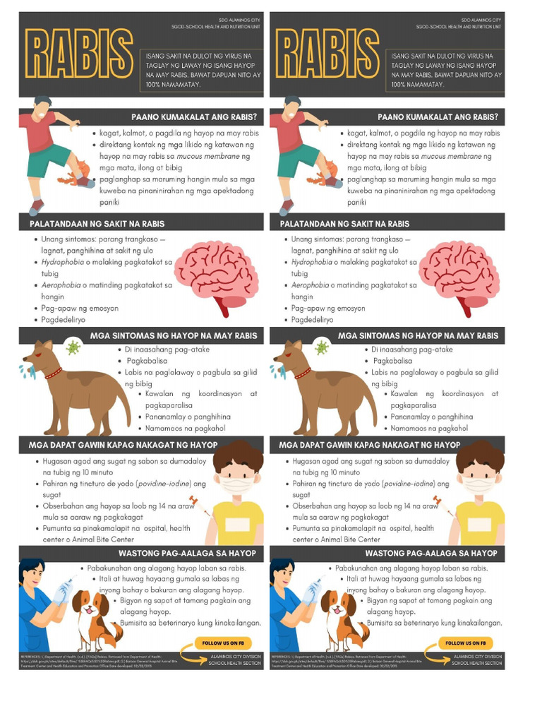 Rabies Advocacy | PDF