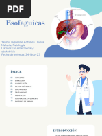 Clasificación Los Ángeles Esofagitis | PDF | Medicina CLINICA ...