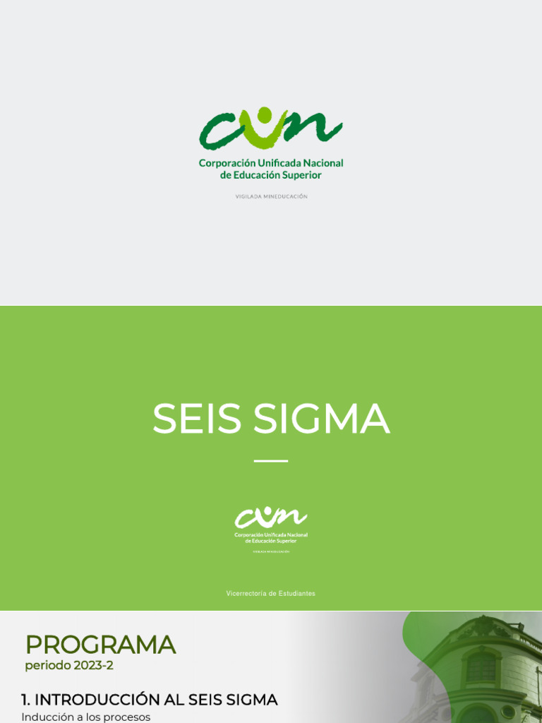 Estructura Del Seis Sigma | PDF | Six Sigma | Ciencia de sistemas