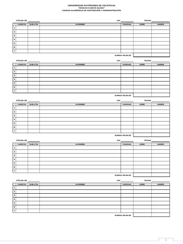 Formato de Polizas | PDF