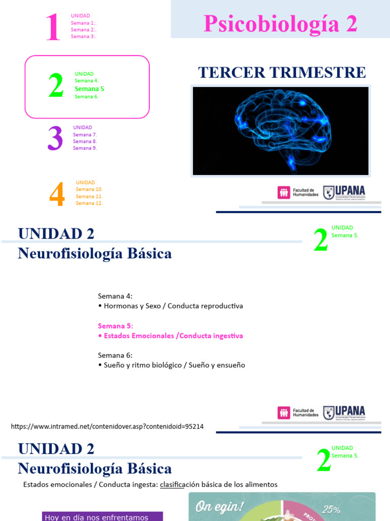Semana 5 Unidad 2 Psicobiología 2 | PDF | Las emociones | Estrés (biología)