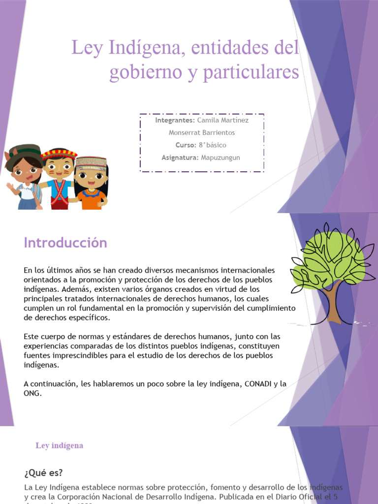 Ley Indígena y CONADI en Chile | PDF | Organización no gubernamental