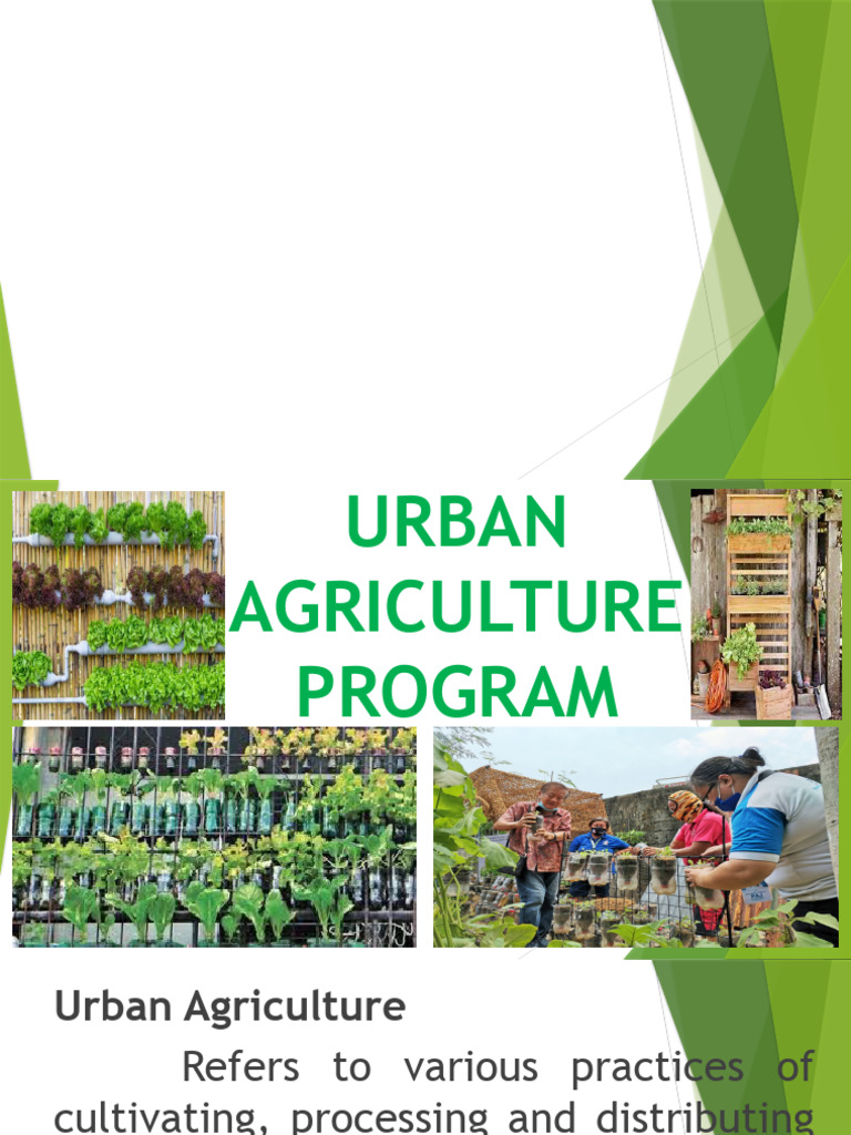 Urban Gardening | PDF | Vegetables | Urban Agriculture