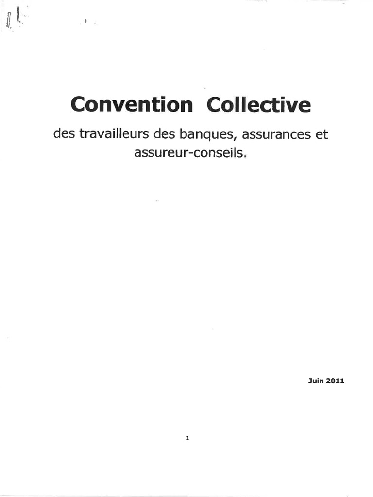 Convention Collective Des Banques Assurances Et Assureurs Conseils | PDF