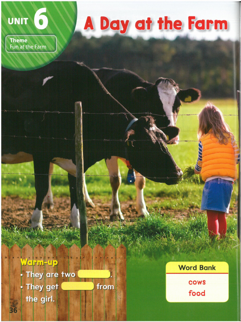 Wonderskills Reading Starter 2-Unit 6 | PDF