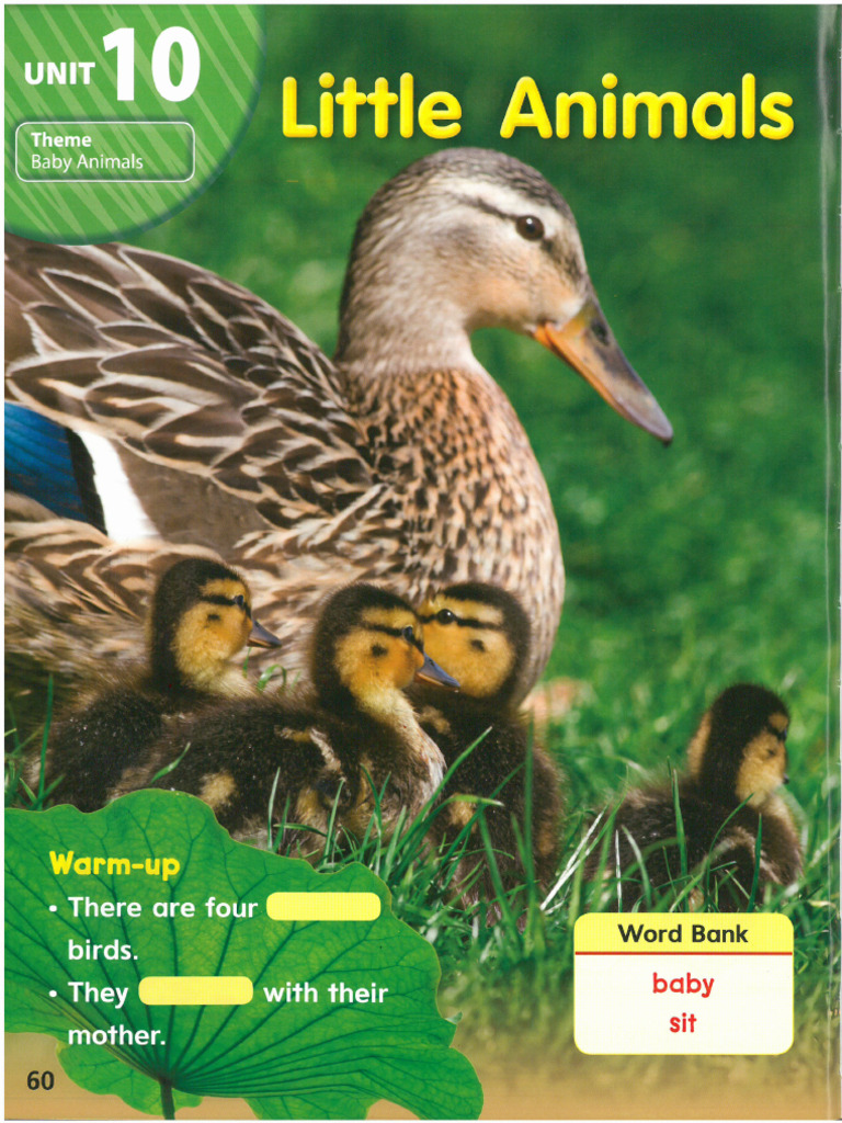 Wonderskills Reading Starter 2-Unit 10 | PDF