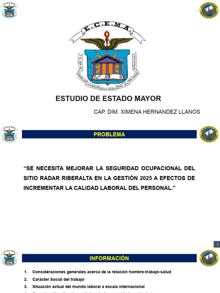 Cap. Hernandez | PDF | Seguridad y salud ocupacional | Valores