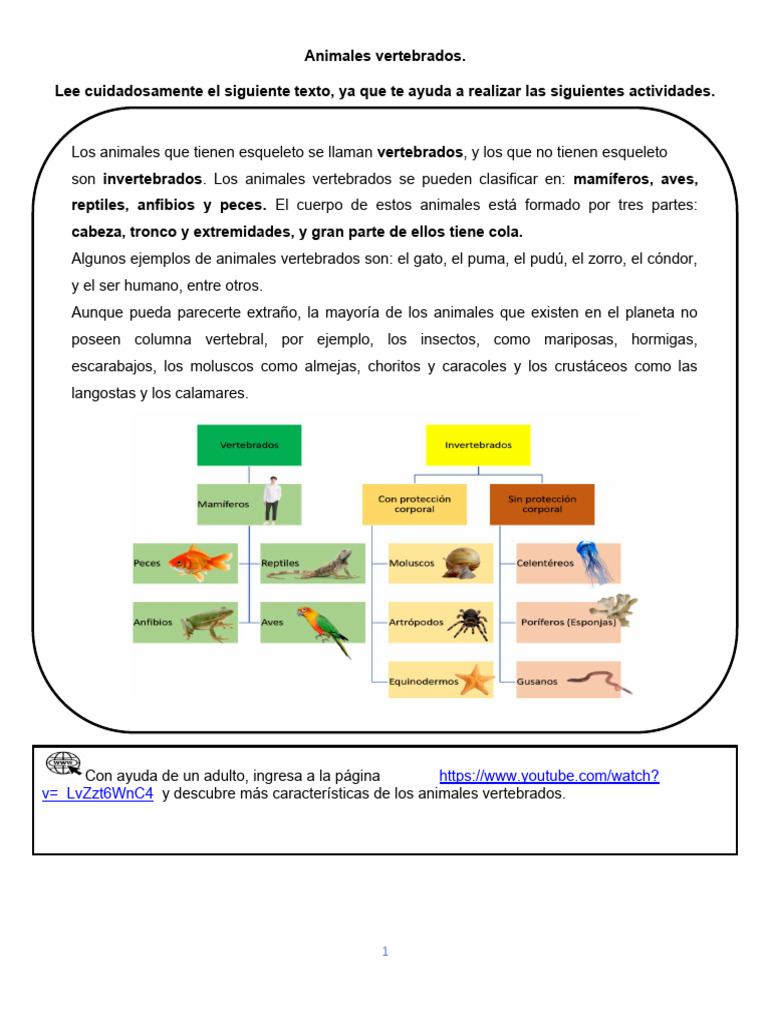 Guia Animales | PDF | Reptil | Vertebrados