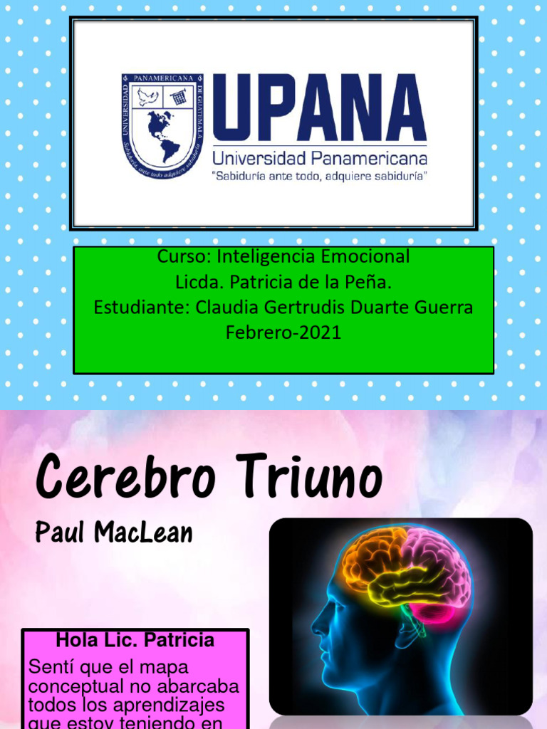 Cerebro Triuno. | PDF