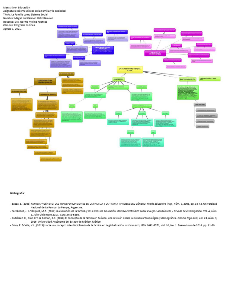 Mapa Conceptual La Familia Como Sistema Social | PDF