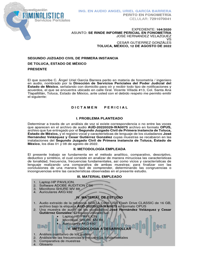 Peritaje Ejemplo | PDF