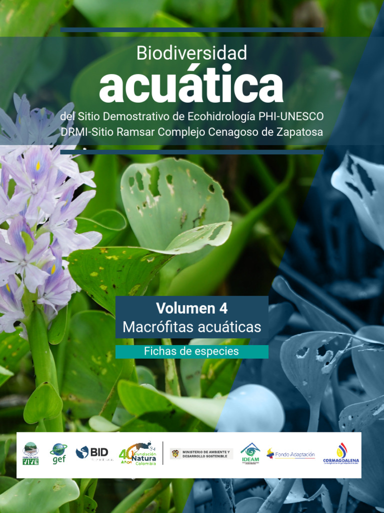 Fichas de macrófitas acuáticas en Zapatosa | PDF | Humedal | Ecosistema