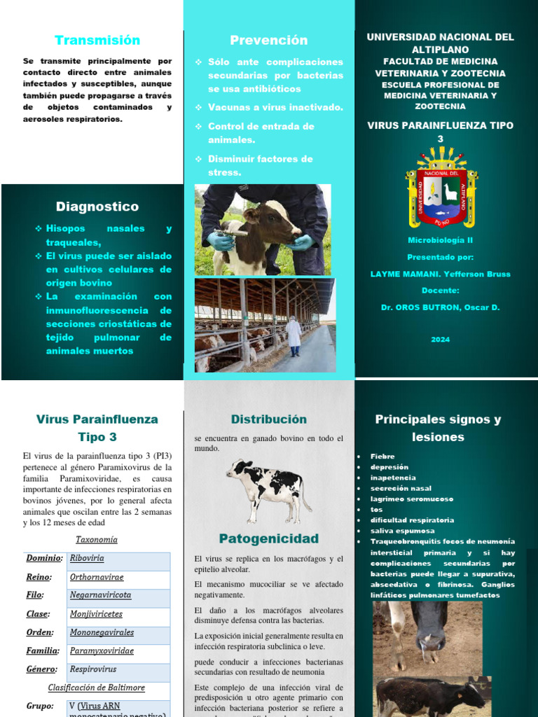 Triptico | PDF | Virus | Neumonía