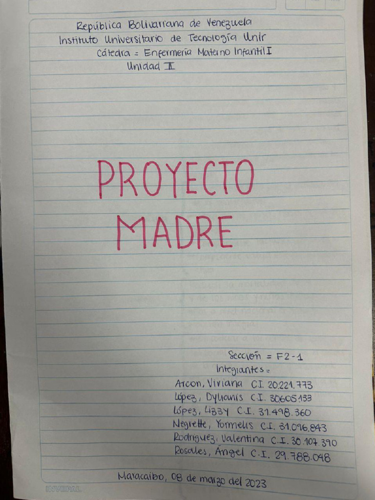 Actividad 1. Unidad II. Proyecto Madre | PDF