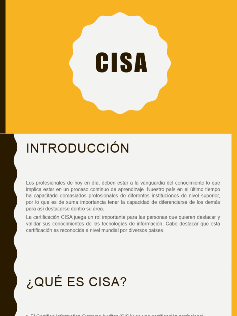 Presentaci n1 | PDF | Auditoría