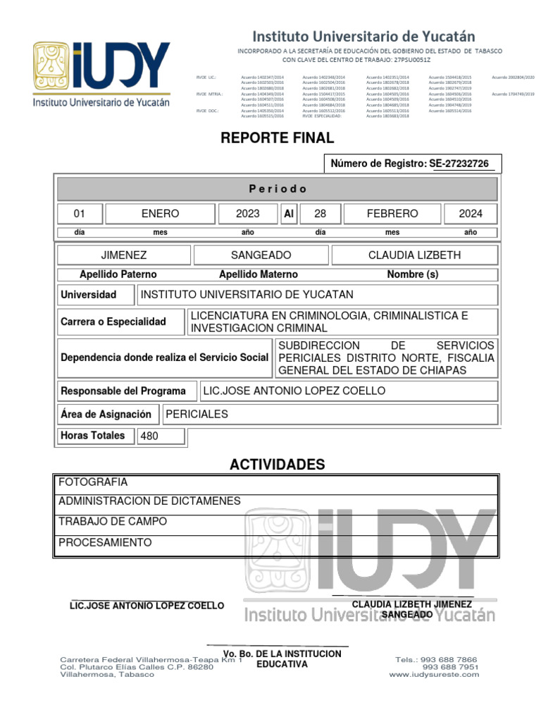 Formato de Reporte Final | PDF