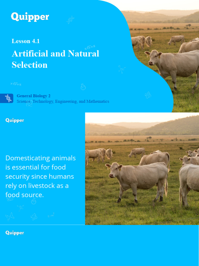 Natural vs. Artificial Selection Explained | PDF