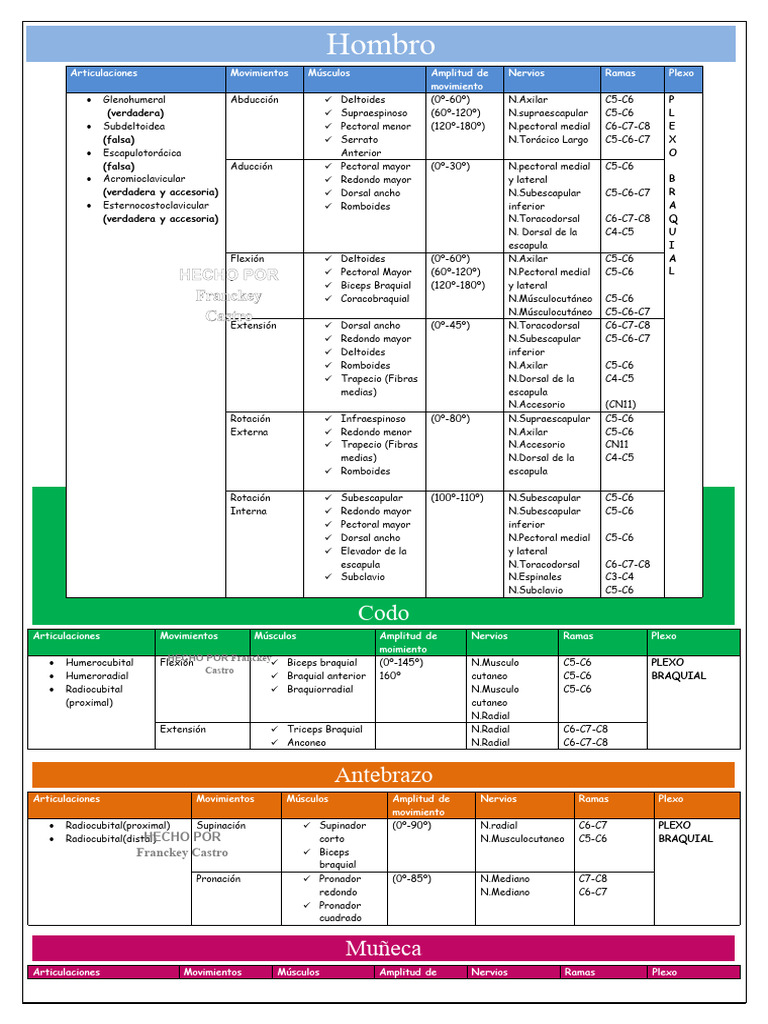 Cuadro Descriptivo de (Articulaciones, Movimientos y Músculos) Miembro Superior y Inferior | PDF ...