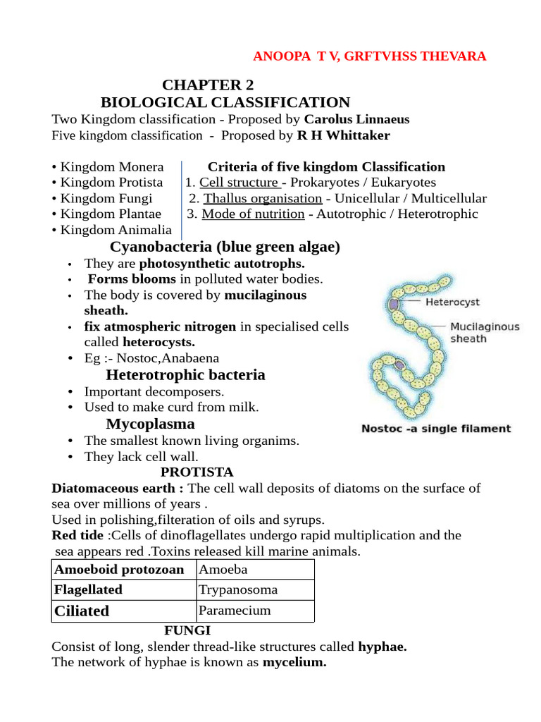 +1 Botany Capsule Notes | PDF | Meiosis | Mitosis