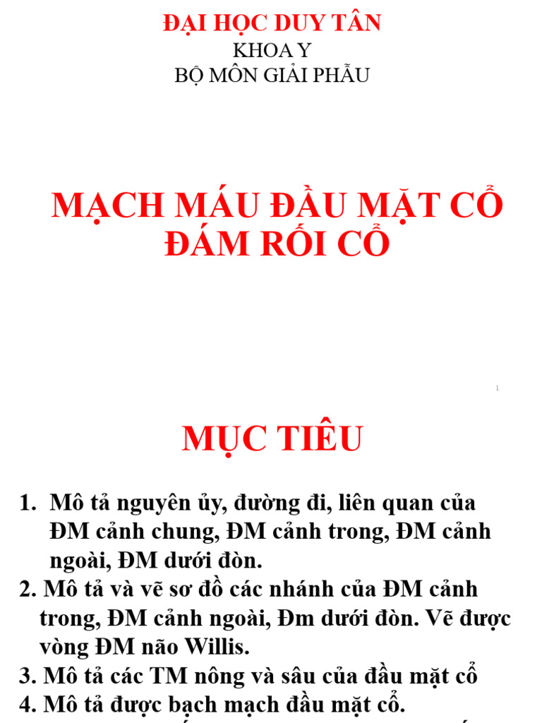 Mach Mau Dam Roi Co | PDF