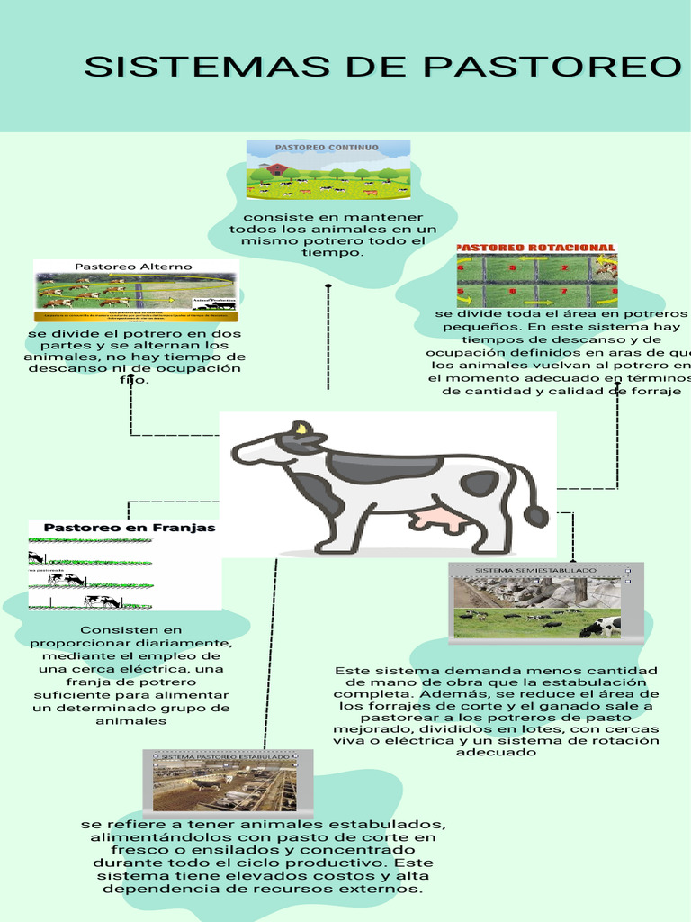 INFOGRAFIA SISTEMAS DE PASTOREO | PDF