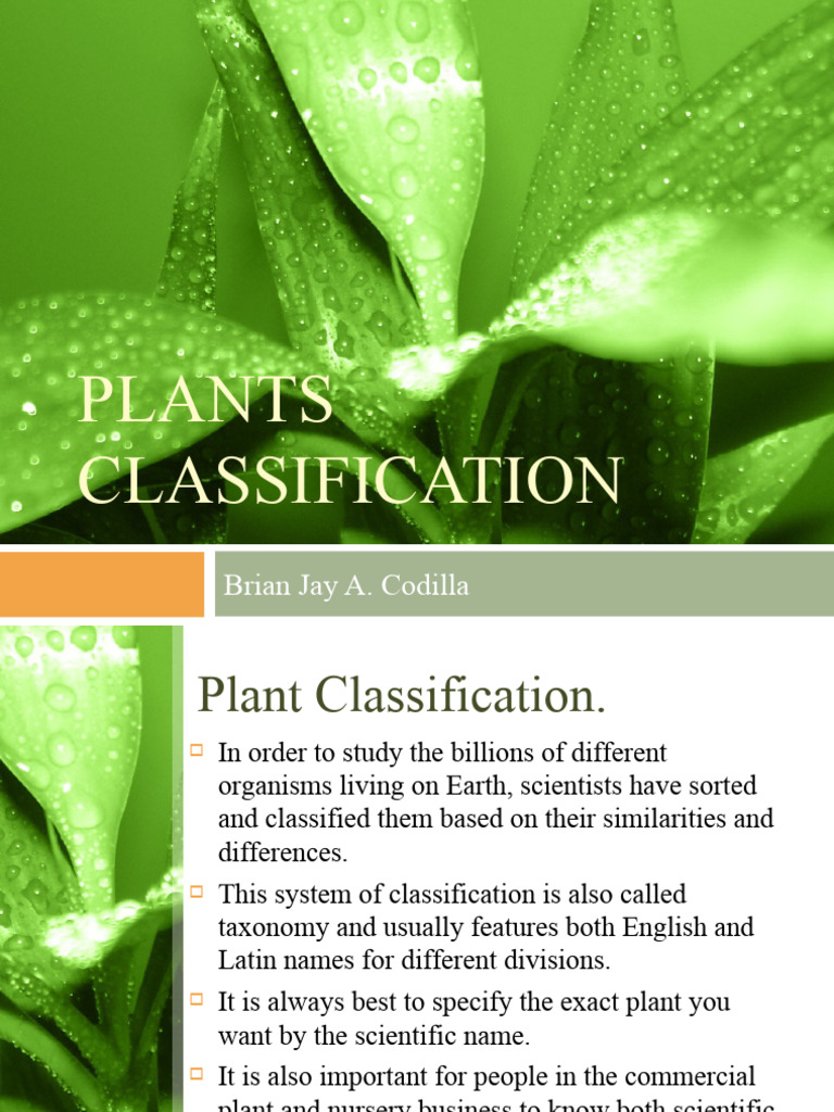 Plant - Classification1 - PPT1 Report Advance Botany | PDF | Taxonomy ...