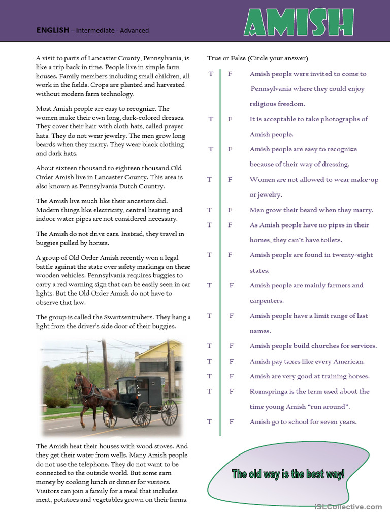 Understanding Amish Culture and Lifestyle | PDF
