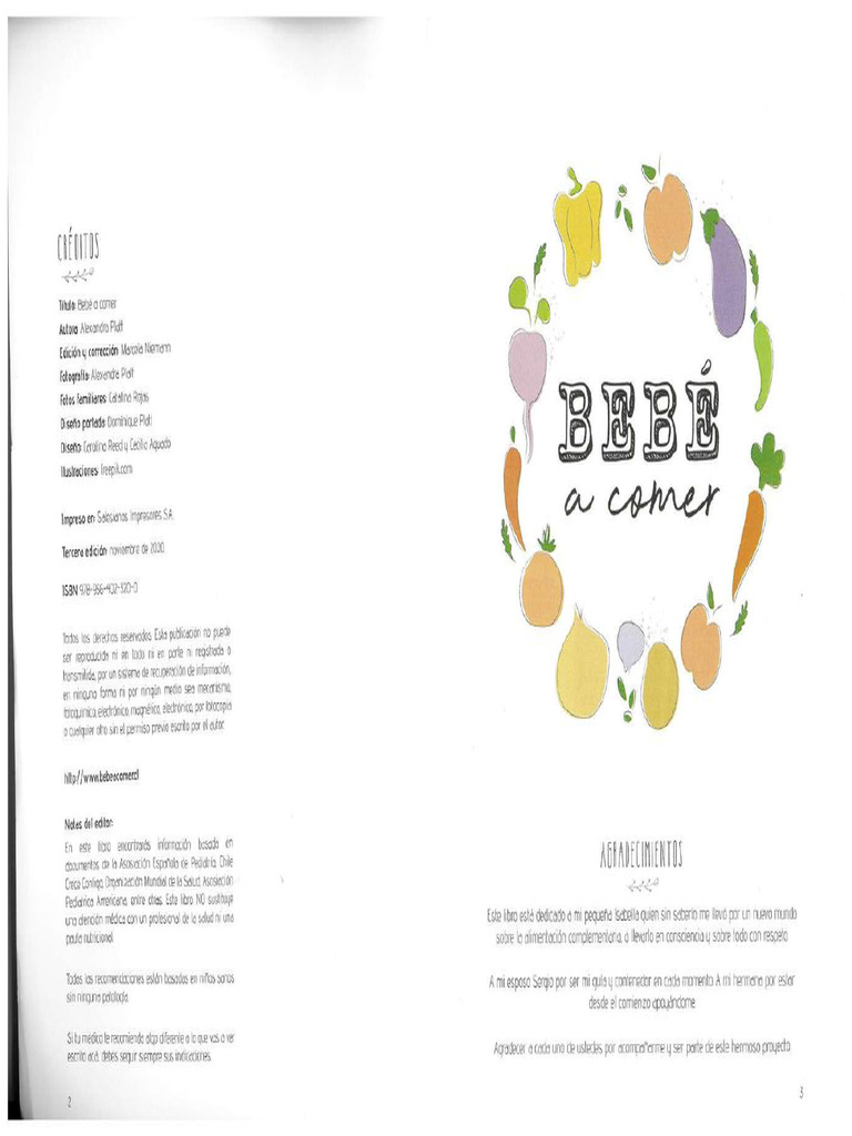 Bebé A Comer Libro | PDF