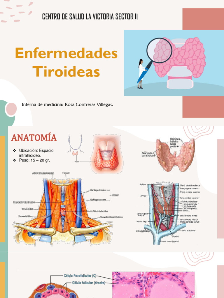 ENFERMEDADES TIROIDEAS | PDF | Tiroides | Hipertiroidismo