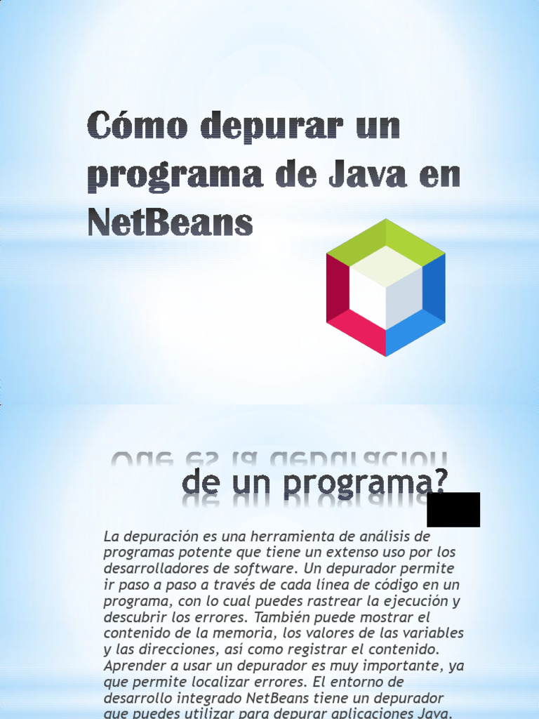 Guía de Depuración en NetBeans | PDF | Programación | Programa de computadora