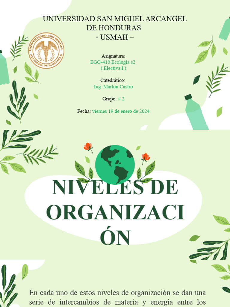 Presentacion - Niveles de Organizacion | PDF | Ecosistema | Ecología