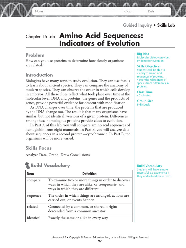 Chapter 16 Lab Amino Acid Sequences - Indicators of Evolution | PDF ...