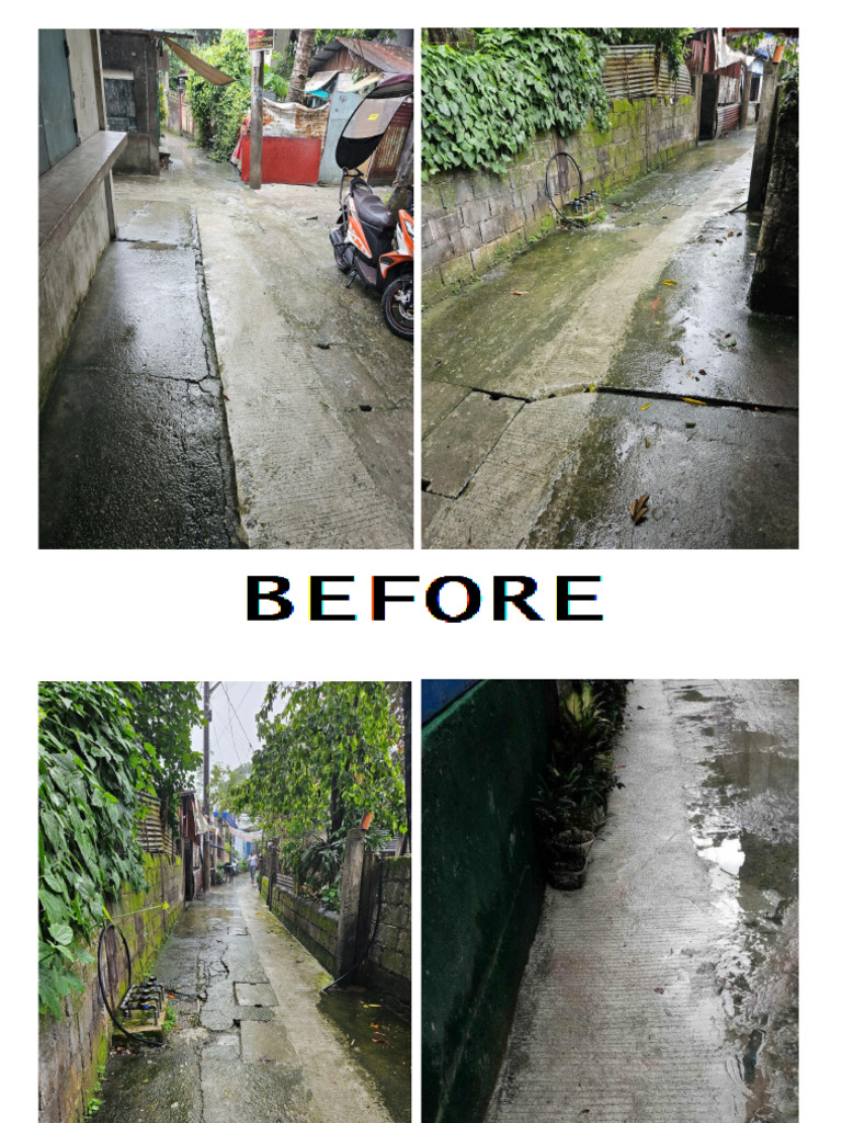 Crispulo Before | PDF