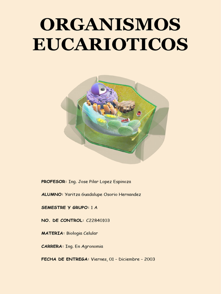 Organismos Eucarioticos | PDF | Eucariotas | Protozoos