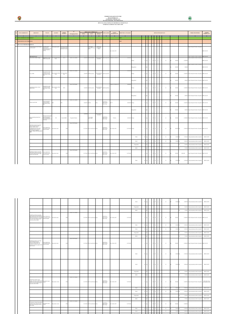 Ruk Tahun 2025 Dan RPK Tahun 2024 Ukm Achmad Yani | PDF