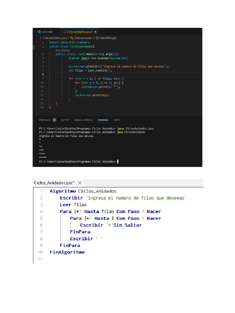 Ciclos Anidados Lopez Beltran Luis Enrique 3IV8 | PDF