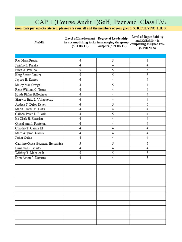 CAP 1 Self Peer and Class Evaluation - 1307506367 | PDF | Psychology ...