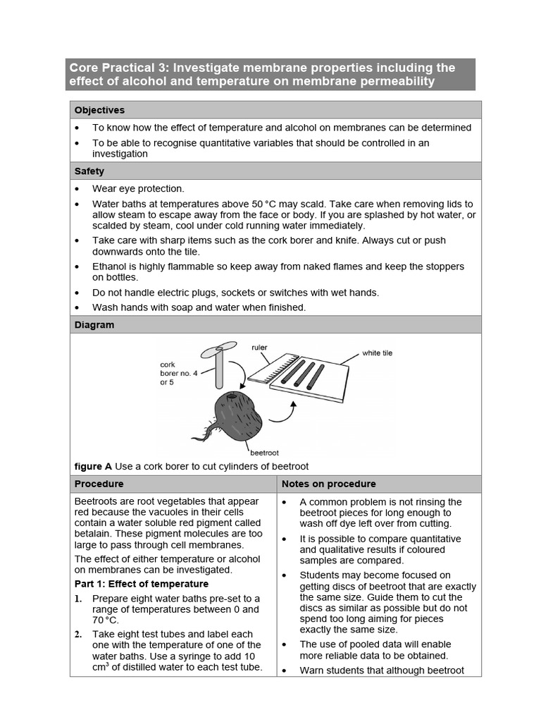 Biology Practical 3 AS Level | PDF | Lipid Bilayer | Phospholipid