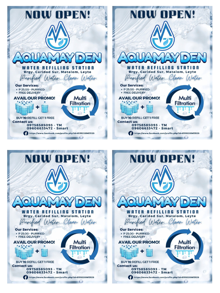 FLYERS | PDF