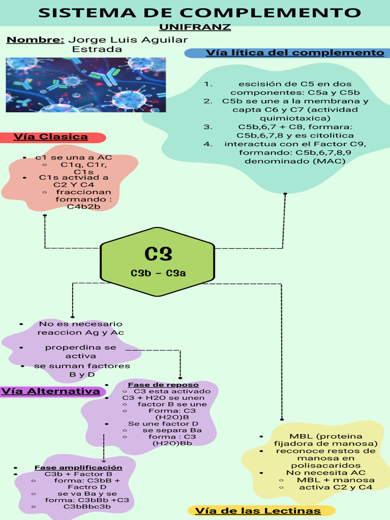 Sistema de Complemento (Traumato) Jorge Aguilar | PDF
