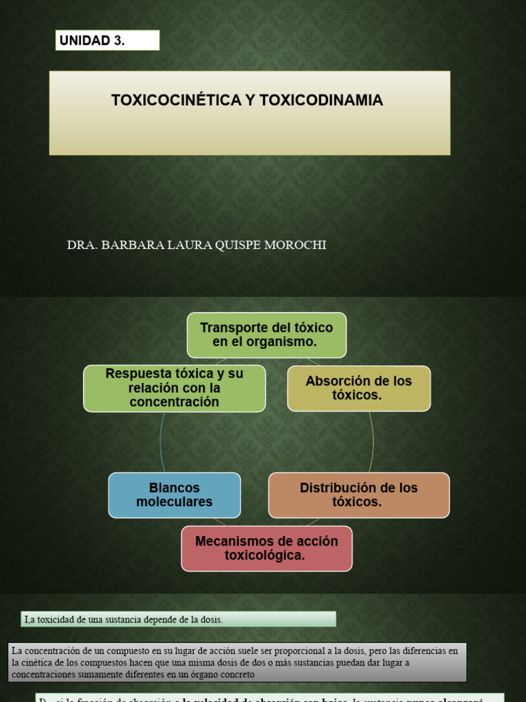 Toxicocinética y Toxicodinamia | PDF | Toxicidad | Biotransformación