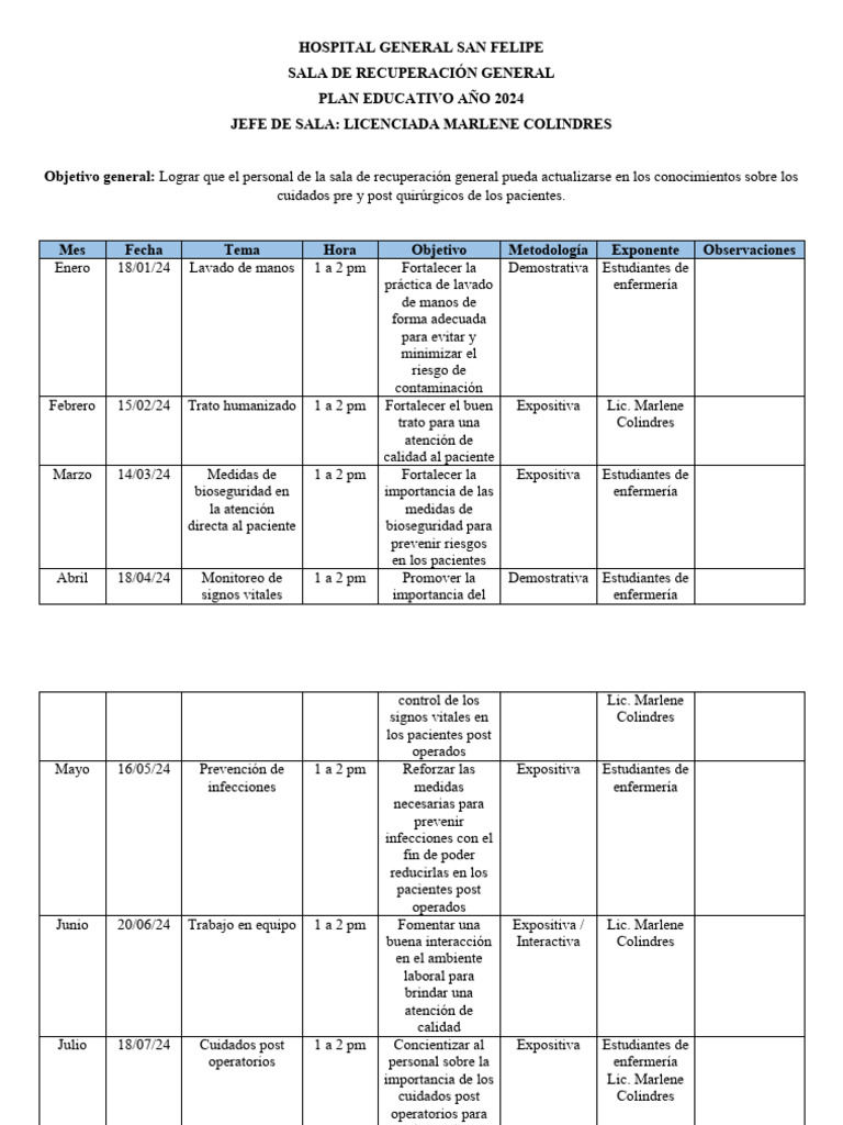 Plan Educativo Sala de Recuperación General AÑO 2024-1 | Descargar ...
