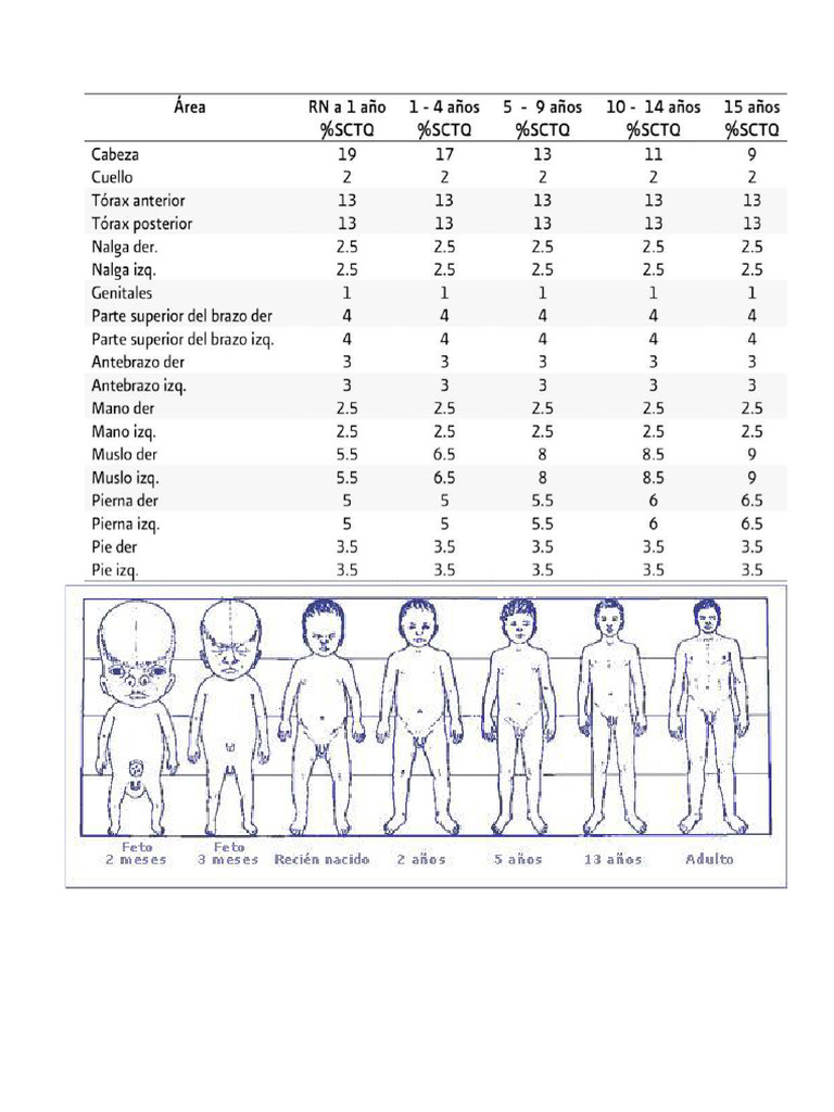 Lund y Browder | PDF