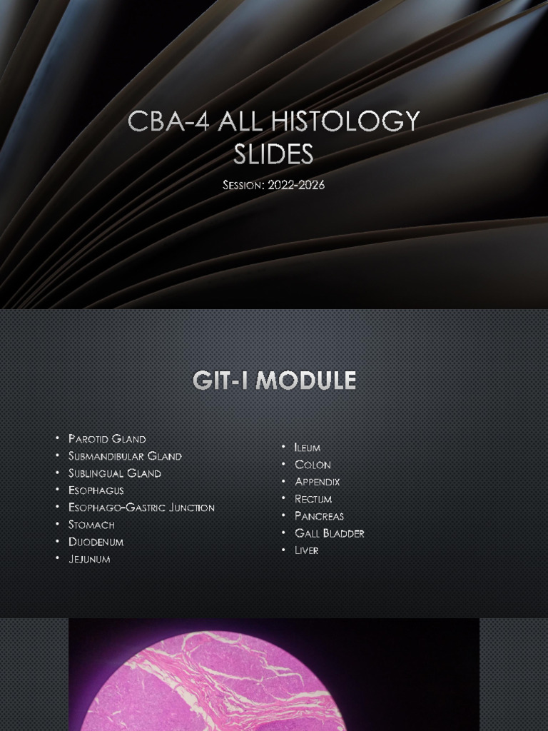 CBA-4 All Histology Slides | PDF