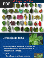 Filotaxia | PDF | Folha | Morfologia vegetal