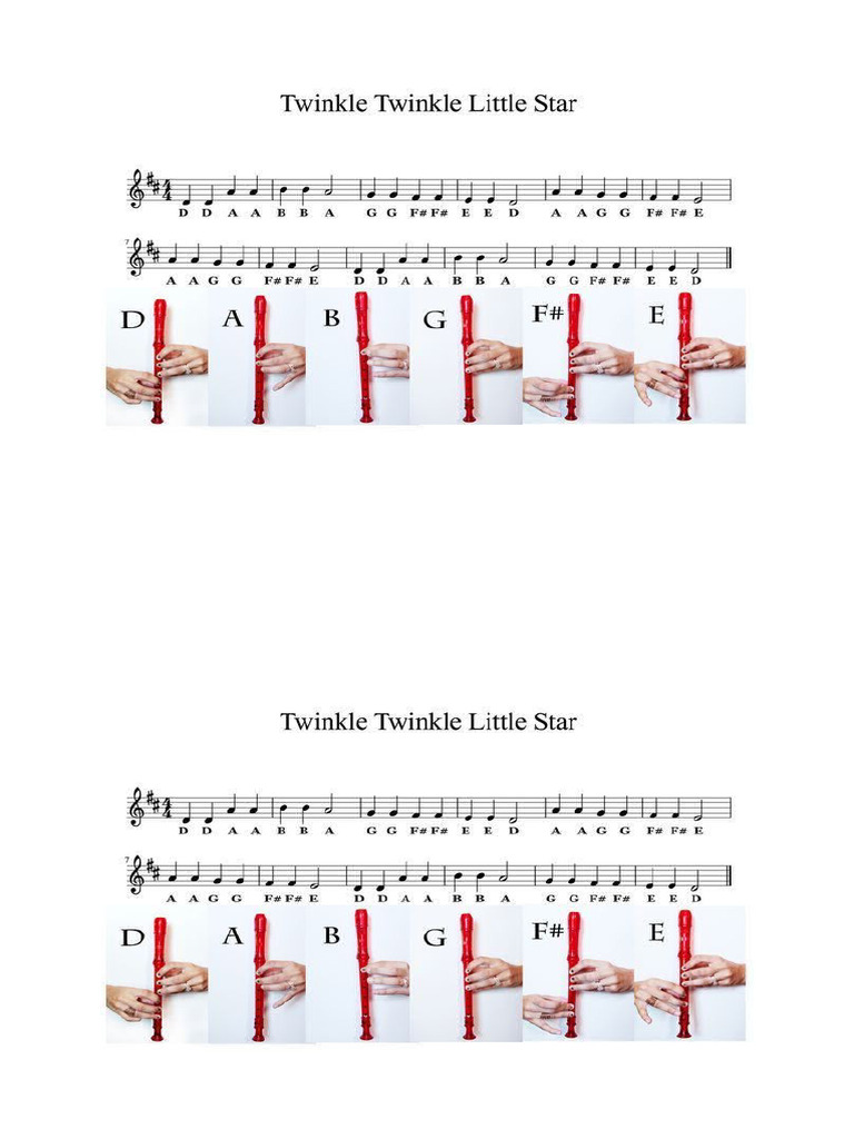 Flute Recorder Basics | PDF