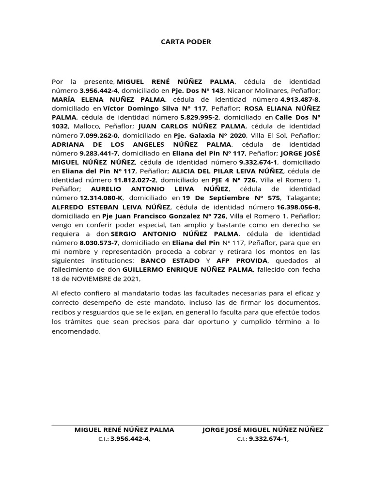 Carta Poder | Descargar gratis PDF | Documento de identidad